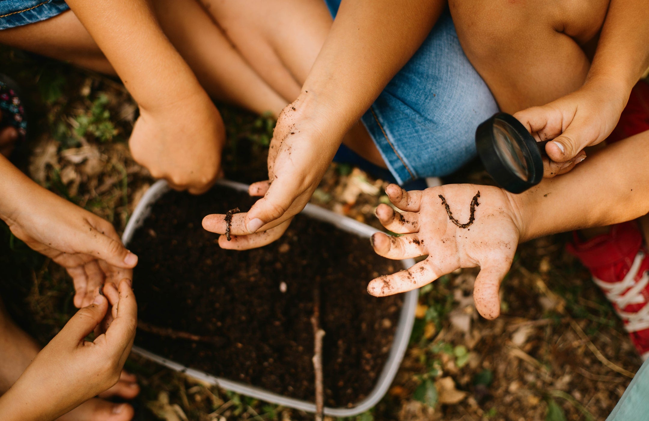 Printable Activity: Spring-O-Bingo – Once Upon a Farm